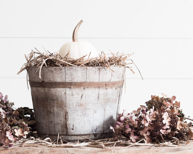 Fall Decorating Ideas - Jayne Margaret