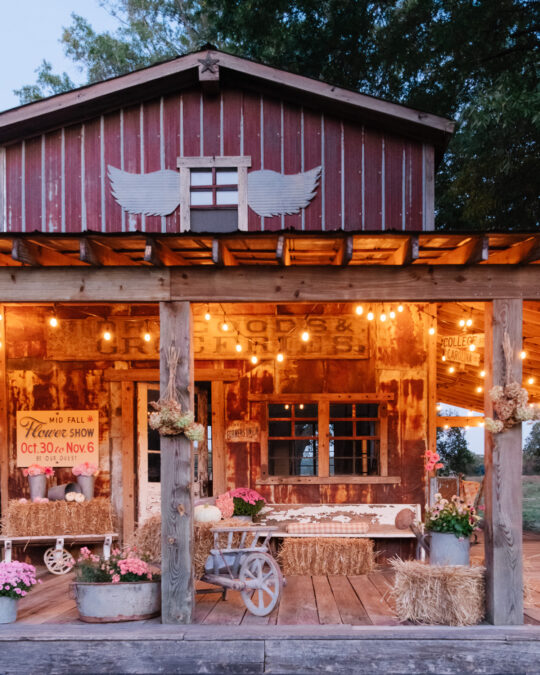 Fall On The Farm - Jayne Margaret